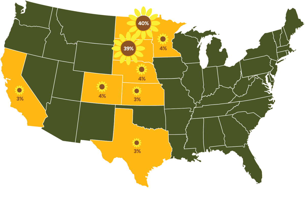 Sunflower Pathologists Protect Sunflower Yields - North Central ...